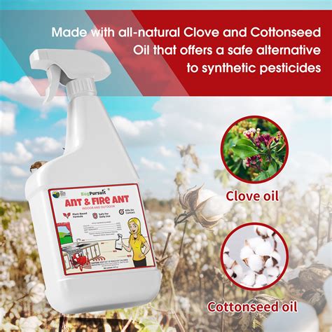 Mua 24oz Ant Killer Use For Indoor And Outdoor Effective Non Staining
