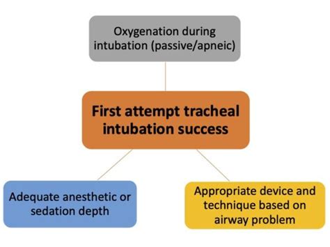 Optimizing Pediatric Intubation Openanesthesia