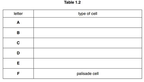 Igcse Biology Cell Structure Igcse Style Questions Paper