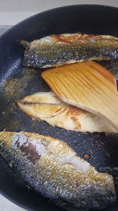 어머니와고등어♥ Youtube