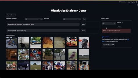 Introduction To Ultralytics Explorer Api