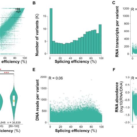 Overview And Sequencing Analysis Of Motifs Enriched From Splicing