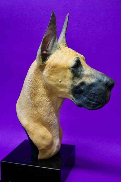 [self] Another Great Dane Bust In Polymer Clay R Sculpture
