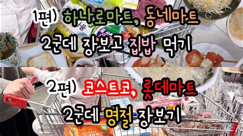 4군데 장보는 마트 장보기 브이로그 뭐 샀는지 같이 보실래용 하나로마트 동네마트 코스트코 롯데마트 Youtube