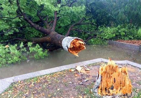 湖南衡陽一高中遭受狂風暴雨自然災害 每日頭條
