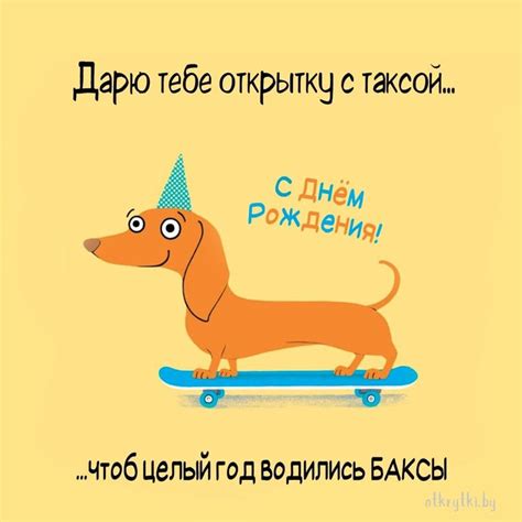 Открытки с днем рождения мужчине парню и мальчику Смешные открытки Смешные поздравительные