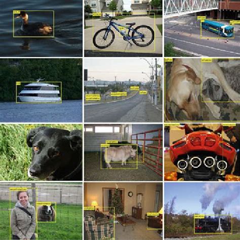 6 The 20 Object Classes In Pascal Dataset Download Scientific Diagram