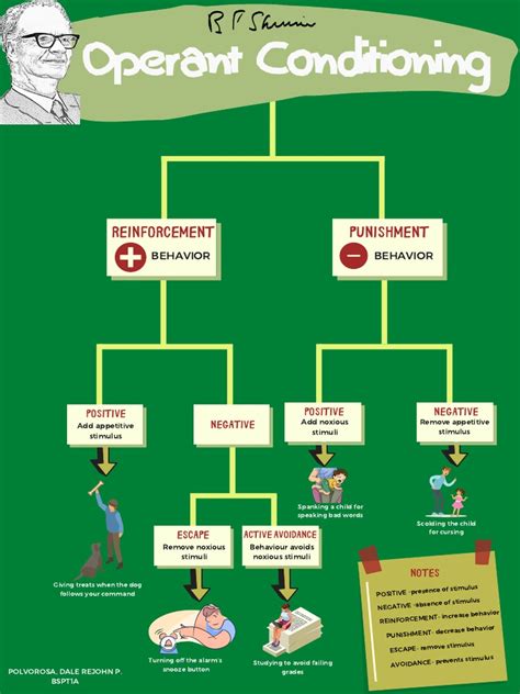 Operant Conditioning Notes Pdf Reinforcement Scientific Theories