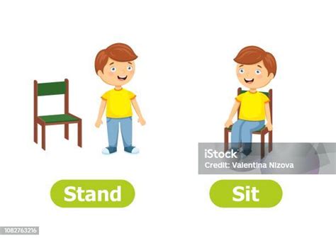 벡터 반의어와 어느 쪽입니다 흰색 바탕에 만화 캐릭터 그림입니다 외국어 학습에 대 한 지원 교육에 대 한 카드 교습에 대한 스톡 벡터 아트 및 기타 이미지 Istock