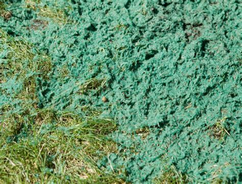 Difference Between Hydromulch And Hydroseed 1 Difference Between