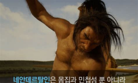 책리뷰 이기적유전자 줄거리 쉬운요약 내용 독후감 밈 네이버 블로그