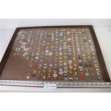 Framed Wplexi Glass Pin Collection