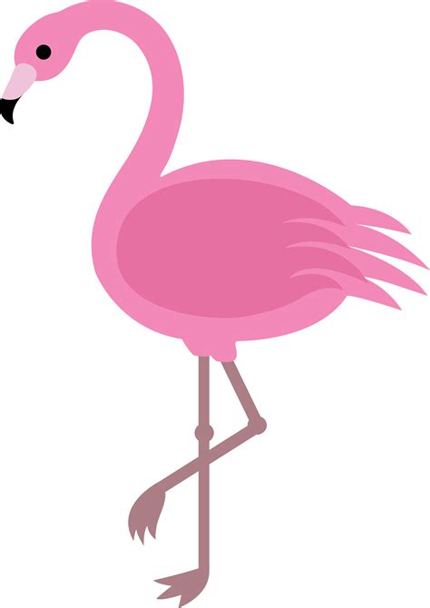 Flamingo Cartoon Images