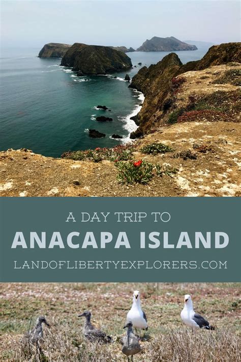 A Day Trip To Anacapa Island California Travel California National