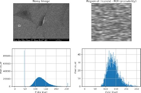Figure 3 From Noise Analysis To Guide Denoising Of Scanning Electron