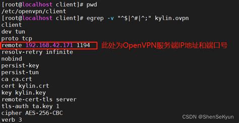 银河麒麟服务器操作系统v10sp2安装搭建openvp麒麟v10sp2 Csdn博客