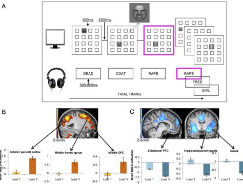 A Task Design Of The Ewm Training Dual N Back Task For A