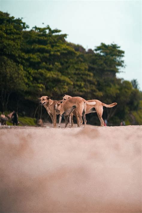 Sooraj Srj On Linkedin Pov