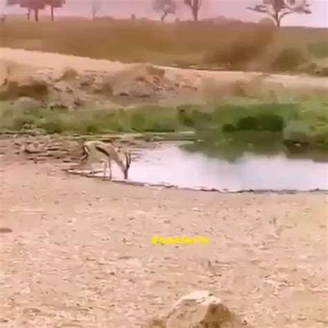 Not Everyone Has To Know Everything Surprising Them With Results Is