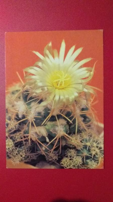 Листівка 1990 — ціна 5 грн у каталозі Листівки і конверти Купити товари