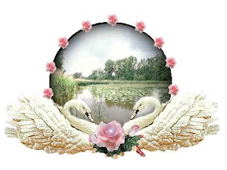 Versos Y Poemas De Amor Poesias De Amor Y Sexo