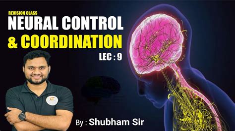 Class 11 Biology Neural Control And Coordination Lec 09 Biology Youtube