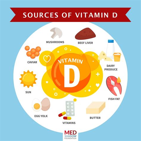 Importance Of Vitamin D Article At Kelly Duppstadt Blog