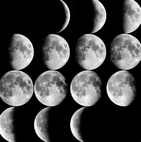 오늘의 달모양 실시간 달모양 확인하기 네이버 블로그