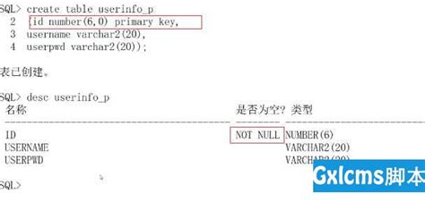 Oracle如何禁用主键约束【oracle】约束之主键约束 Csdn博客