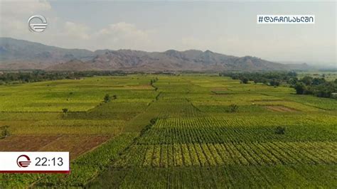 ანტიკრიზისული გეგმა ფერმერებისთვის Youtube