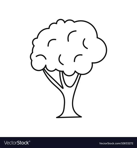 Tree Outline Image