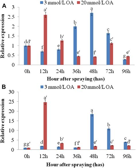 Relative Transcript Levels Of OO A And Germin B Genes After Download Scientific Diagram