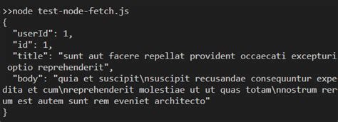 Faire Un Fetch Avec Node Js En Utilisant Npm
