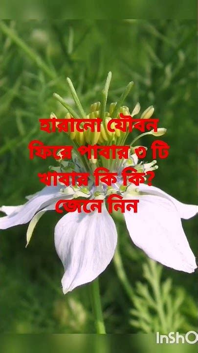 হারানো যৌবন ফিরে পাবার ঔষধ Youtube