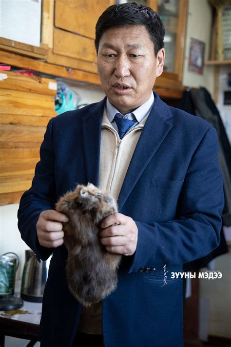 Онцлох фото Хар ус нуурын арлуудыг сүйтгэж буй заарт харх