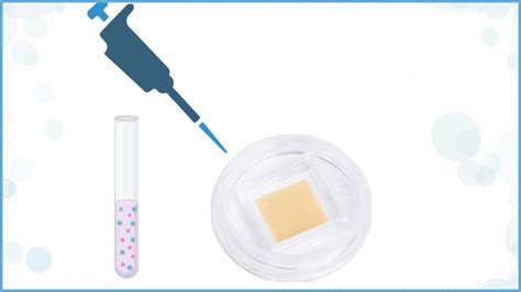 Learn About Cellraft® Technology Cell Microsystems Posted On The Topic Linkedin Learn About Cellraft® Technology Cell Microsystems Posted On The Topic Linkedin