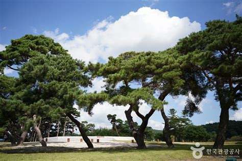 주령구빵 경상북도 경주시 가볼만한곳 관광지랭킹