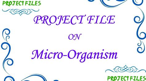 Project File On Microorganisms Microorganisms Youtube