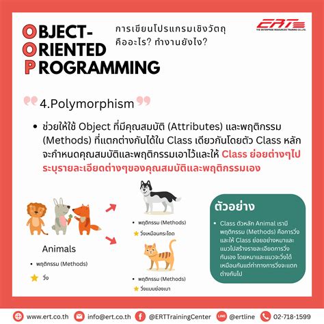 Oop คืออะไร การเขียนโปรแกรมแบบ Oop ทำงานยังไง