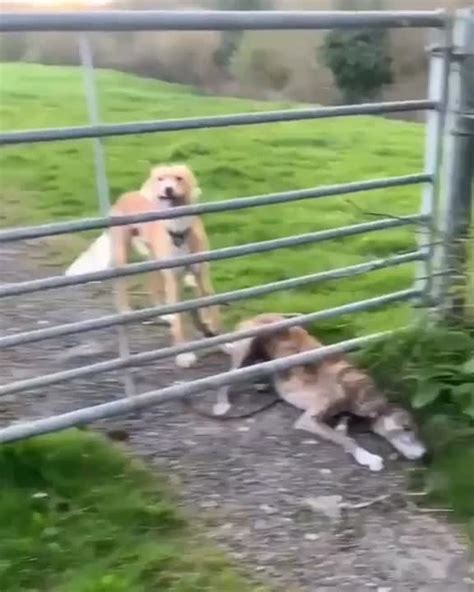 Shane Butler On Linkedin If One Method Doesnt Work Take A Leap With