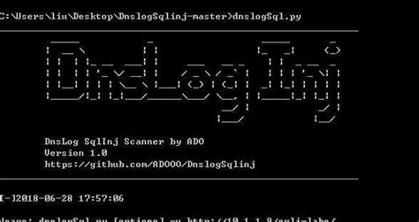 Python 与 Dns 攻击：揭秘网络安全隐患图文 【墨者盾专注ddos防御】 墨者安全
