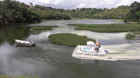 Phoslock Application Methods In Freshwater Pet Water Solutions