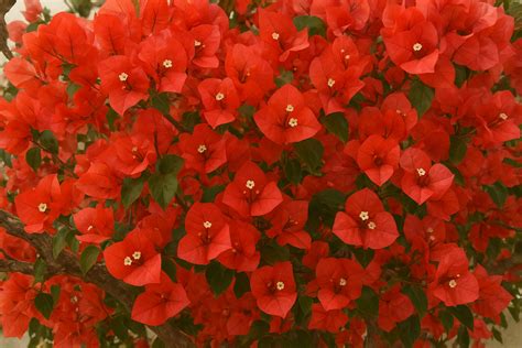 La Fonction Lambda Un Guide Pas à Pas Pour Créer Vos Propres Fonctions Personnalisées Db