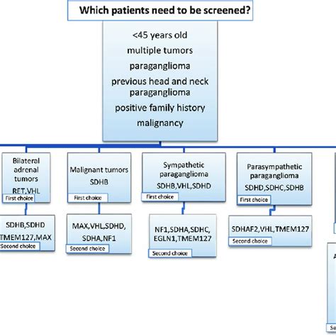 genetic testing algorithm download scientific diagram