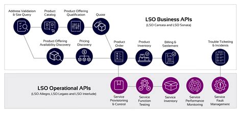 Lso Sonata Service Provider Business Automation