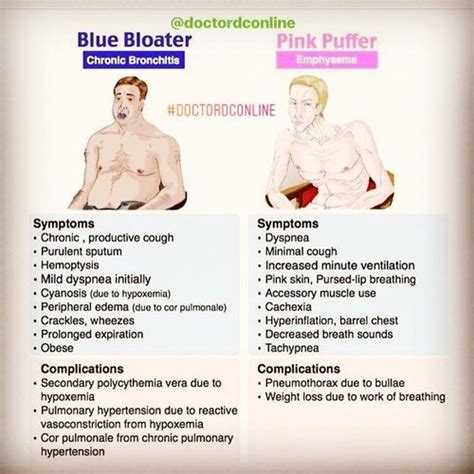 Copd Emphysema Vs Chronic Bronchitis Flashcards Quizlet