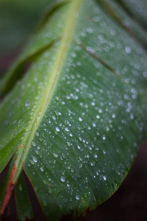 dof effects a beginner s guide to creative effects nature photography tips landscape