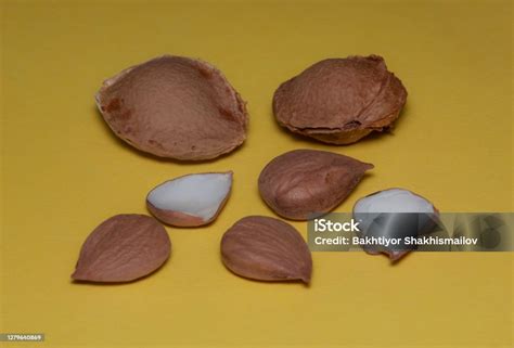 노란색 배경 클로즈업에 고립 된 건조 살구 커널과 너트 쉘 0명에 대한 스톡 사진 및 기타 이미지 0명 건강한 식생활 견과류 껍질 Istock