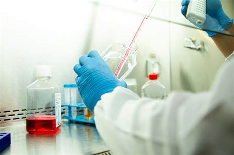 의학 의료 및 세포 배양 실험실 안전 캐비닛에서 세포 배양 Stem 주제에 대한 스톡 사진 및 기타 이미지 Stem 주제