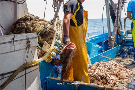 El Pescador Pepe Valenciano Fotógrafo Contador De Historias